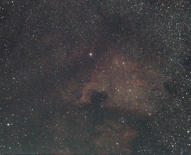 MINI BORG 36ED – tsujido surf